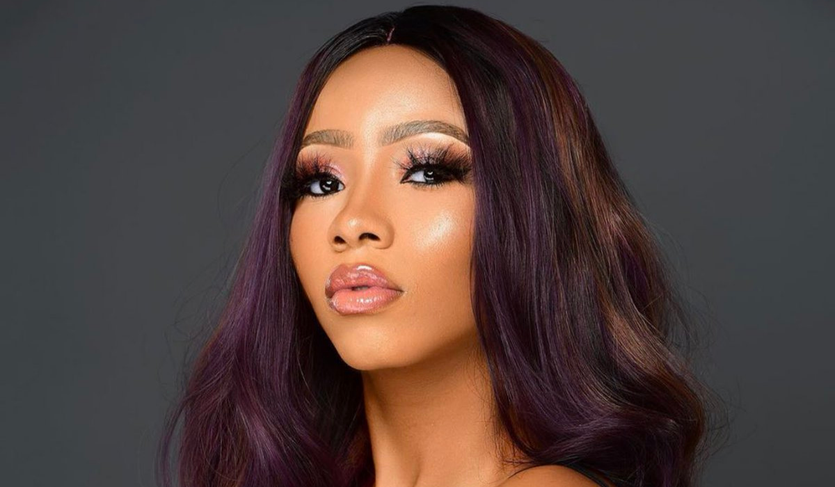 Big Brother Naija: Where Are The Past Winners of the Show?